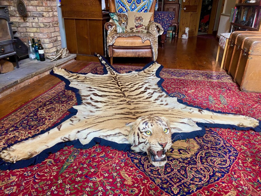 Taxidermy Emporium Ltd