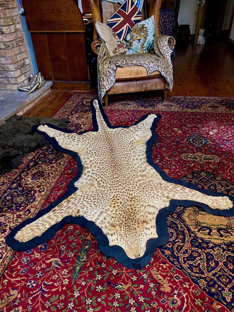 Taxidermy Emporium Ltd